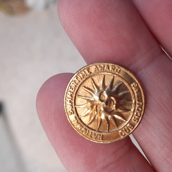 Jewelry | Cub Scout Pin | Poshmark